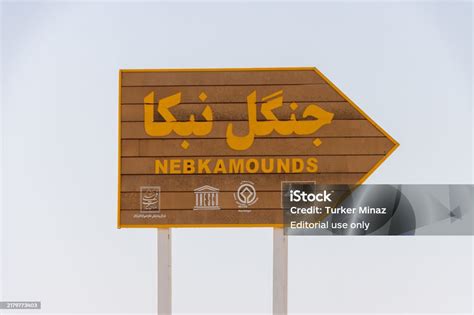 넵카 마운드 이란의 루트 사막에서 발견되는 모래 언덕의 일종 0명에 대한 스톡 사진 및 기타 이미지 0명 건조한 경관 Istock