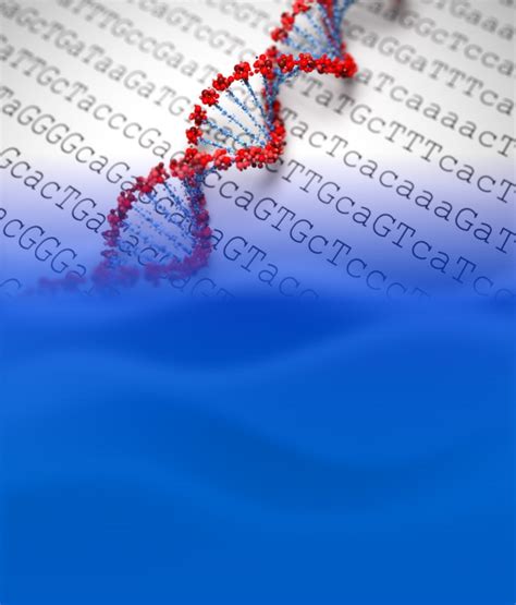 Unveiling The Future Of Oligonucleotide Drugs Overcoming Bioanalytical