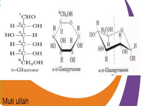 Monosaccharides And Disaccharides PPTX Endocrine And Metabolic Diseases Diseases And