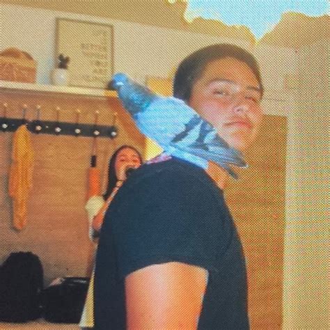 Double Diffuser Youtube