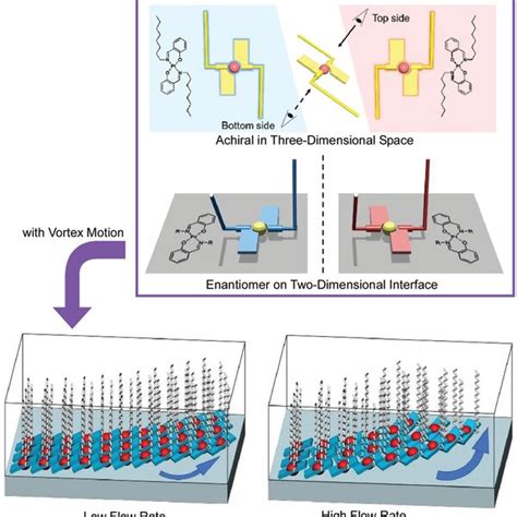 Molecular Aggregation Structures Exhibiting Circularly Polarized
