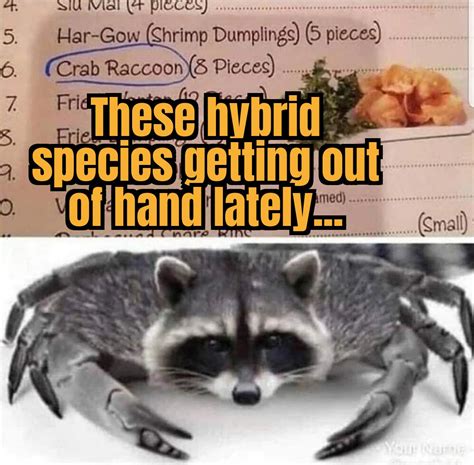 Furry Irl R Furry Irl