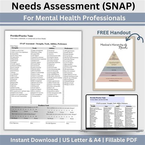 Needs Assessment Snap Forms For Social Workers And Counselors