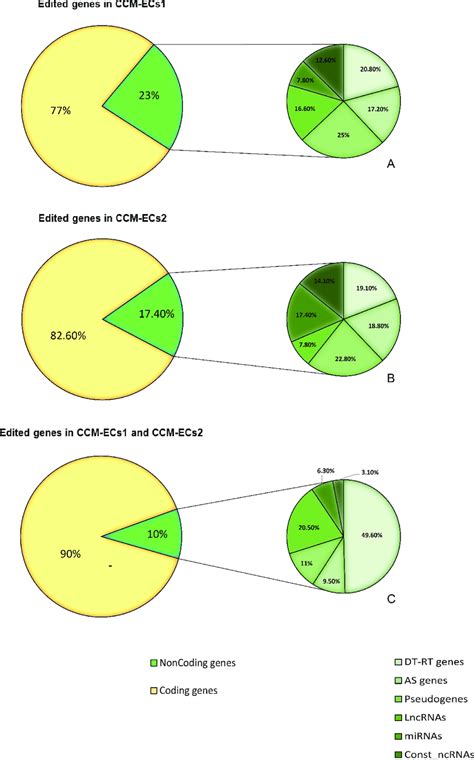 Distribution Of Codingnoncoding Loci Spanned By Editing Sites Editing