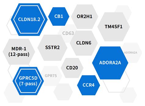 Synthetic Nanodisc Dimabio
