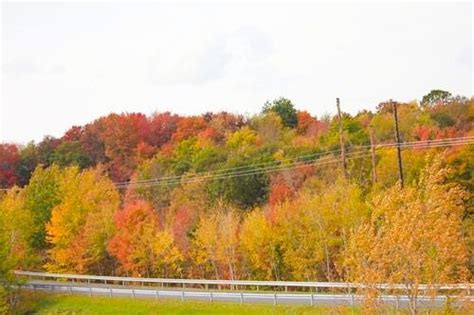 The Best Places To See The Fall Foliage In The Pittsburgh Area