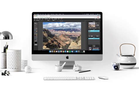 How To Crop A Photo In Windows And MacOS Paint Photos Photoshop Digital Trends