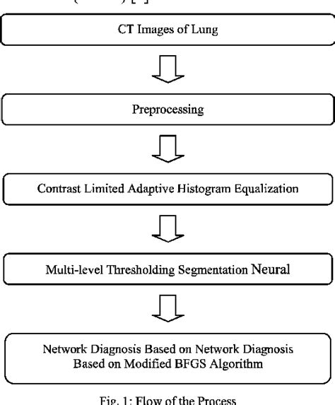 Figure 1 From Efficient And Reliable Lung Nodule Detection Using A