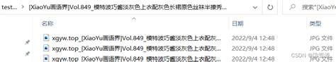 Python应用开发——爬取网页图片 Csdn博客