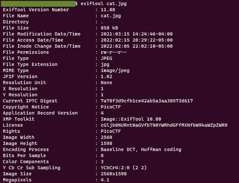 essential linux commands for ctf ethical hacking dev community
