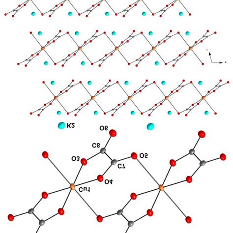Pdf Copper Oxalate Complexes Synthesis And Structural Characterisation