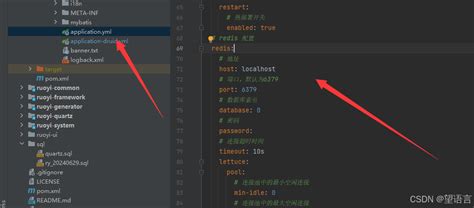 若依项目搭建（黑马经验）黑马若依 Csdn博客