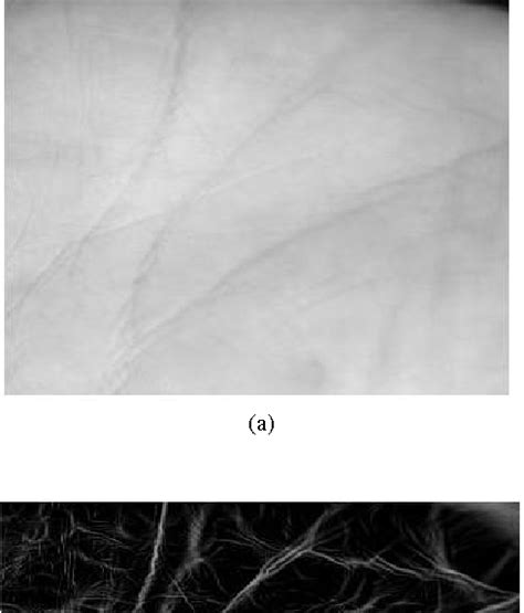 Figure 1 From Palmprint Image Enhancement Using Phase Congruency