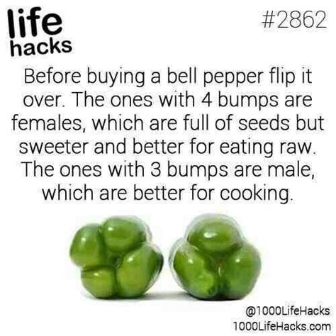 Pin By Stasheia Neves On Food Life Hacks 1000 Life Hacks Useful