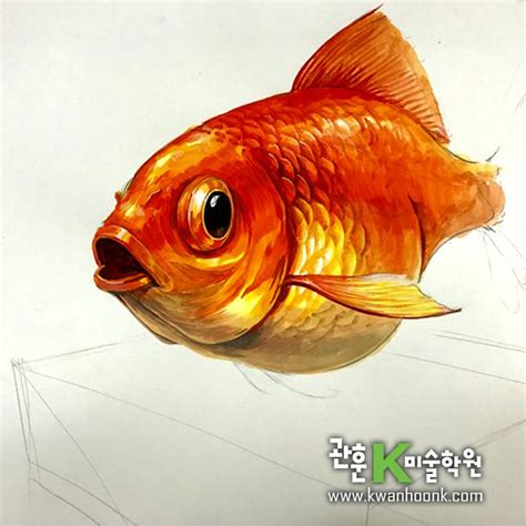 금붕어 기초디자인 기초디자인 관훈k미술학원 개체묘사 상명대 금붕어 미술 구도 닭 그림