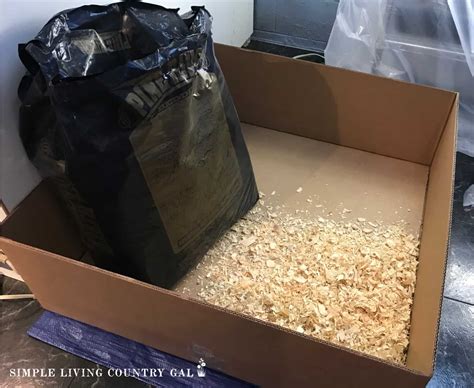 Setting Up A Diy Brooder Box For Ducklings Simple Living Country Gal