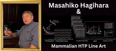 Kemp Proteins On Linkedin Htp Highthroughputprocess Optimization