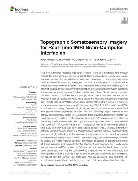 Pdf Topographic Somatosensory Imagery For Real Time Fmri Brain Computer Interfacing