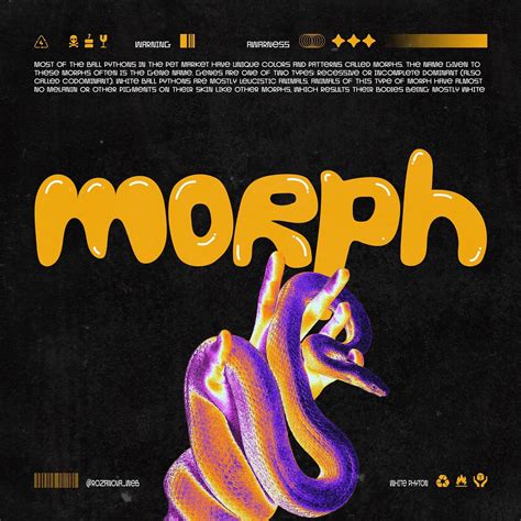 Rozanovaweb • Instagram Photos And Videos