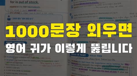 1000문장 빡세게 외우면 영어뇌가 만들어집니다 100일 안에 영어 1000문장 완벽하게 외우는 법 알려드리겠습니다