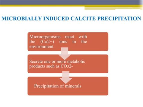 Calcite Forming Bacteria And Production Of Biocement Pptx