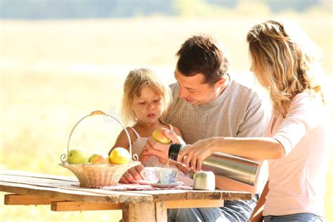 Семья на пикнике стоковое фото изображение насчитывающей люди 29688684