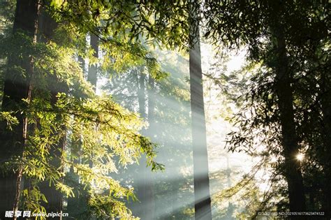 阳光 摄影图 自然风景 自然景观 摄影图库 昵图网