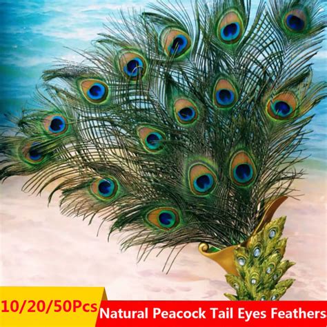 102050pcs Real Natural Peacock Tail Eyes Feathers For Diy Clothes
