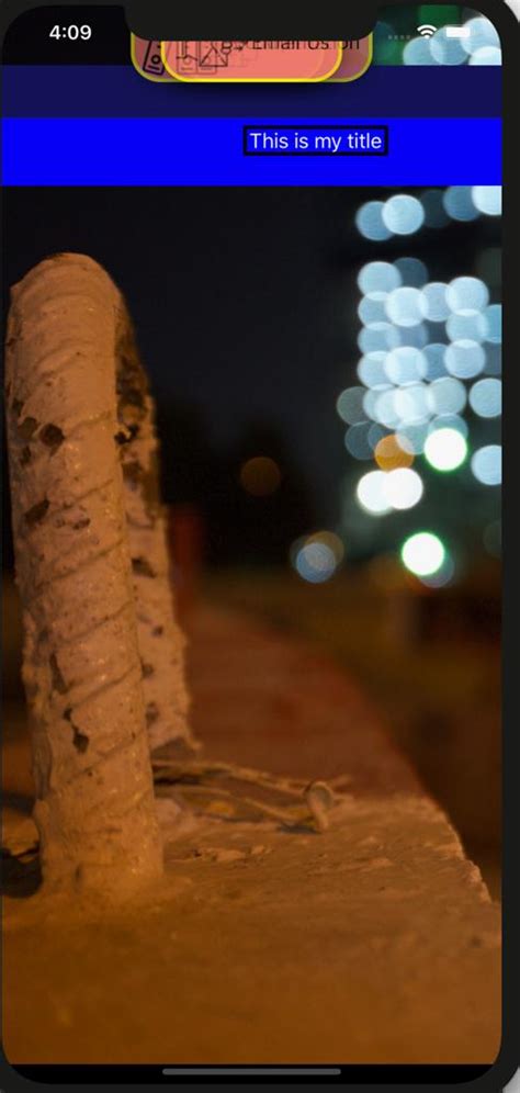 Ios Created A Title For My Navigationbar Programmatically However Not Appear In The Correct