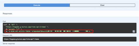 How To Check The Api Security Using Swagger Ui Kuroco
