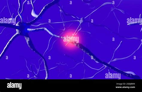 Neural Network Of Brain Stock Videos And Footage Hd And 4k Video Clips Alamy