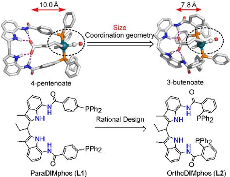 Rational Design Of Orthodimphos L2 For Regioselective Download
