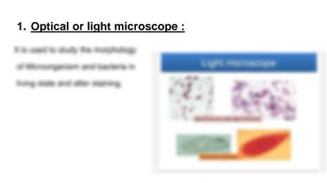 SOLUTION Microscope Techniques Microbiology Studypool