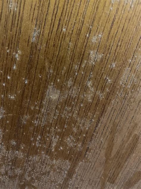 Mold Or Efflorescence Rmold