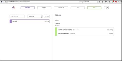 consul 使用 ui 《consul 开发文档 帮助手册 教程》 极客文档