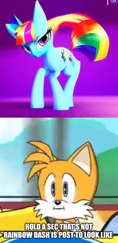 Cute Rainbow Dash Meme For Posting All Mlp Memes