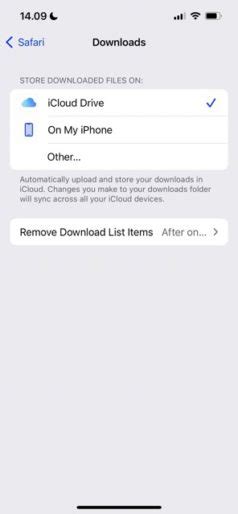 Why Is Safari Taking Up So Much Data On My IPhone AppleToolBox