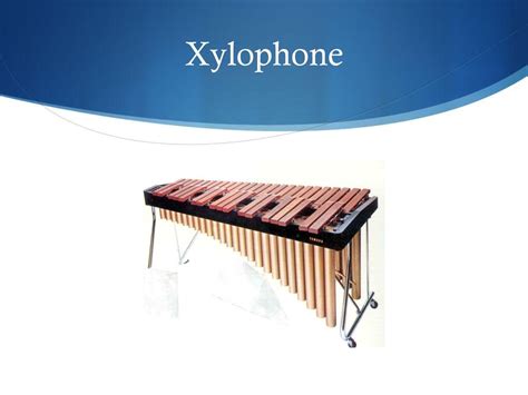 Xylophone Range At Brad Hewitt Blog