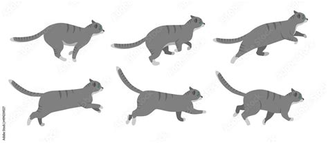 Cute Cat Cartoon Character Running Vector Illustrations Set Animation Frames Of Kitten In