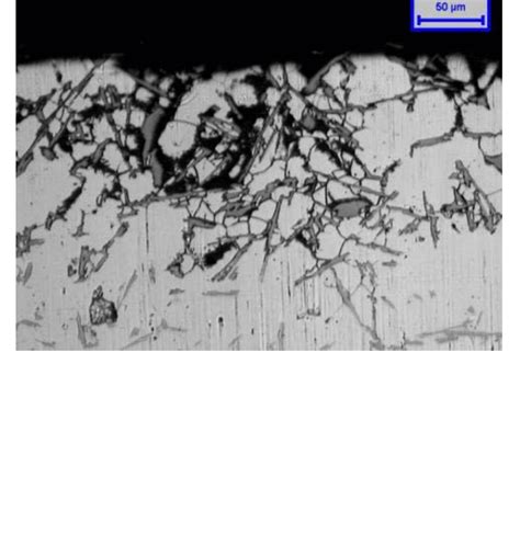 Optical Microstructure Of The Transverse Cross Section Of Corroded