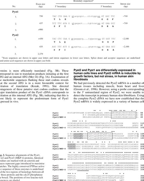Exon Intron Boundary Sequences Of The Human Pyst1 And Pyst2 Genes Download Table