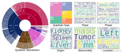 基于mllms的3d医学图像分析（python代码实现数据可视化分析）medmd数据集 Csdn博客