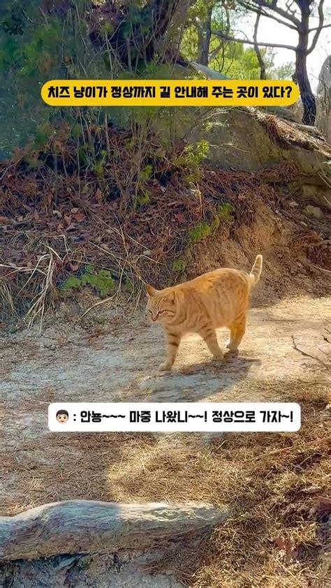 여행을 떠나는 이유 ☃첫 눈이 온다면 같이 만들 눈사람 목록 지금 당장 생각나는 사람한테 공유해 주세요 첫 눈이 온다면