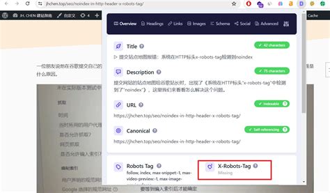 提交站点地图报错：系统在标头x Robots Tag检测到noindex