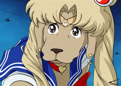 Furrybooru Anthro Beastars Bird Dog Blonde Hair Brown Body Brown Eyes