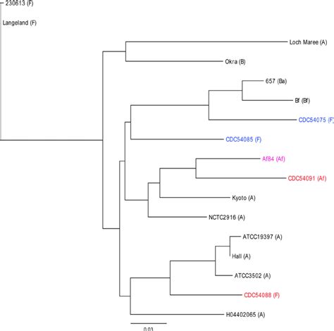 Phylogenomic Analysis Of C Botulinum Strains A Neighbor Joining Tree