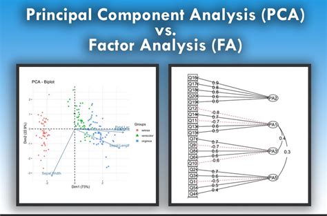 Statistics Globe Ever Wondered About The Difference Between Principal Component Analysis Pca