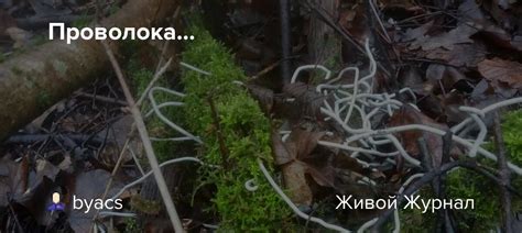 Проволока Byacs — Livejournal