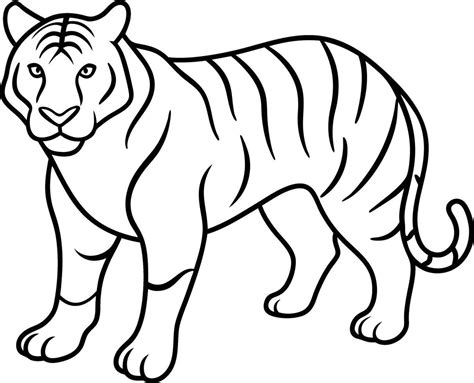 An Outline Illustration Of A Tiger Prowling Forward With An Intense