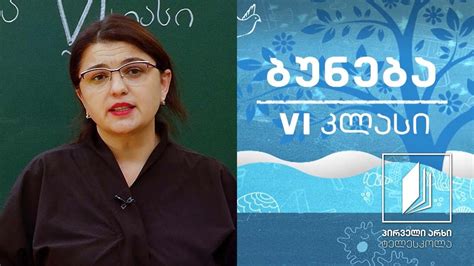 ბუნება Vi კლასი სუფთა ნივთიერება და ნარევი ტელესკოლა Youtube